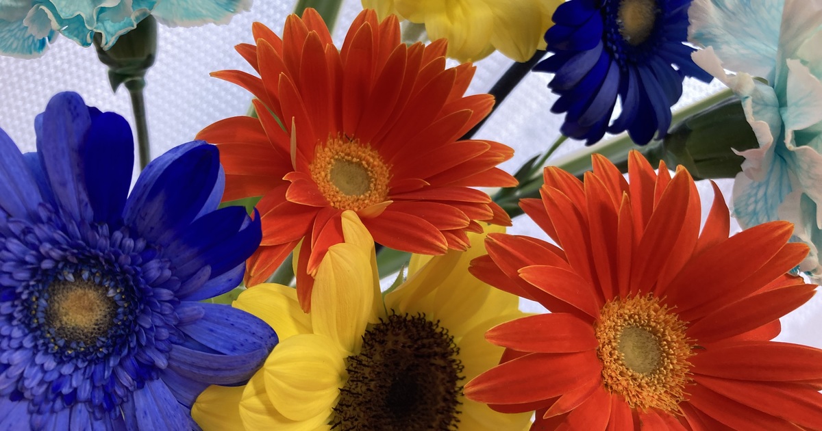 father's day | 越谷の人気美容室liageはお得な情報が載ったブログを公開中