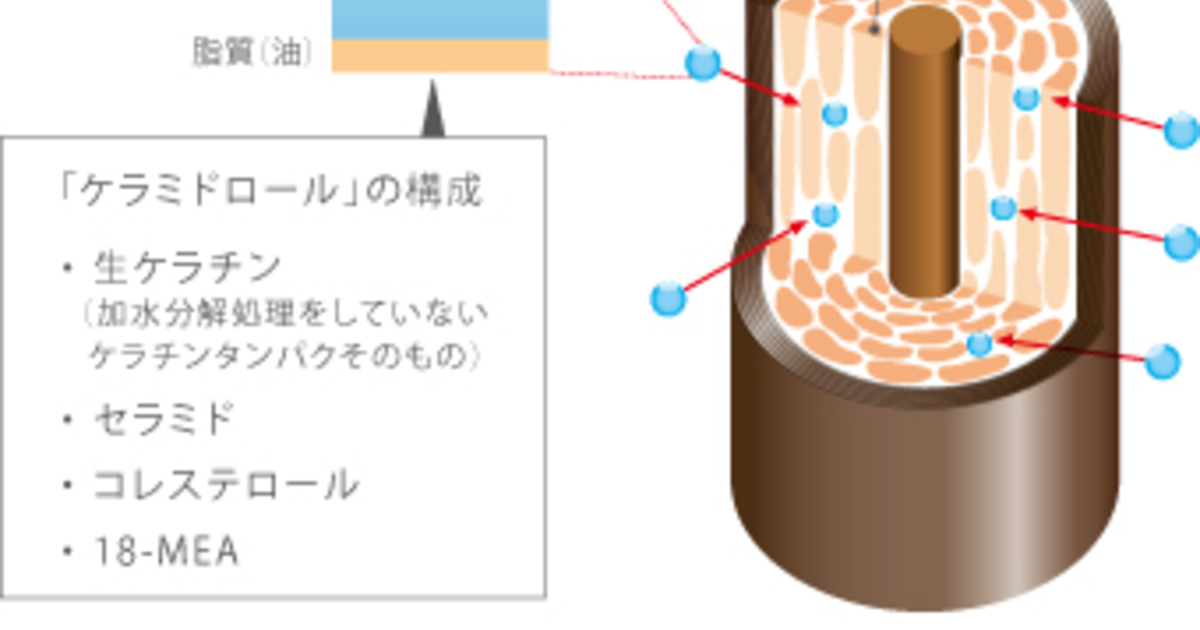秋に大切なヘアケア | 越谷の人気美容室liageはお得な情報が載ったブログを公開中