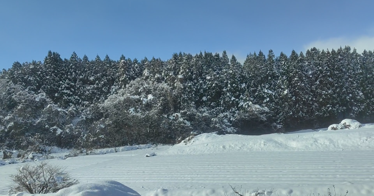 大雪に遭遇！！ | 越谷の人気美容室liageはお得な情報が載ったブログを公開中